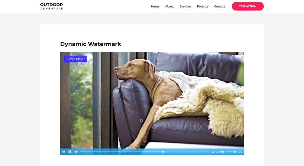 How to Add a Dynamic Watermark to Your Videos